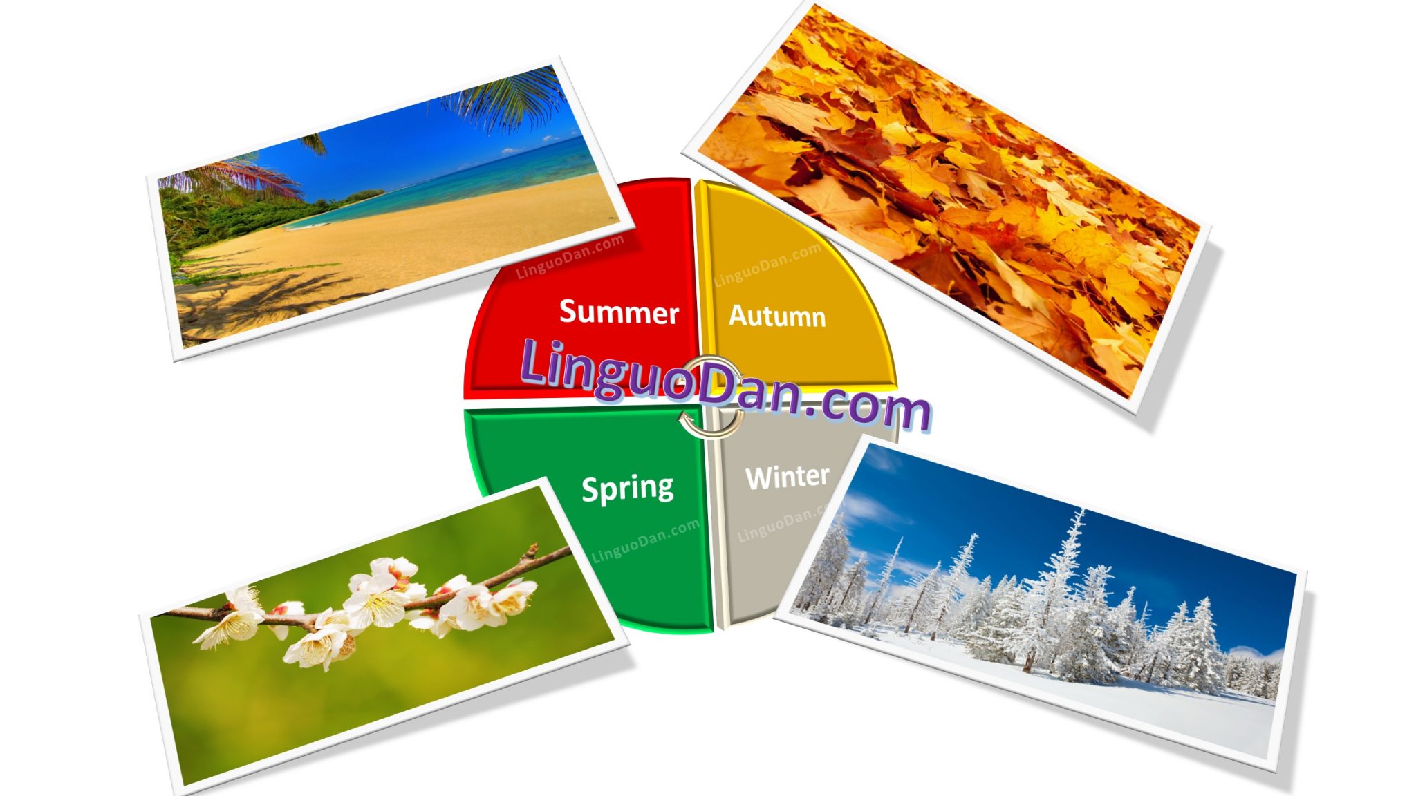 Seasons of the Year - LinguoDan