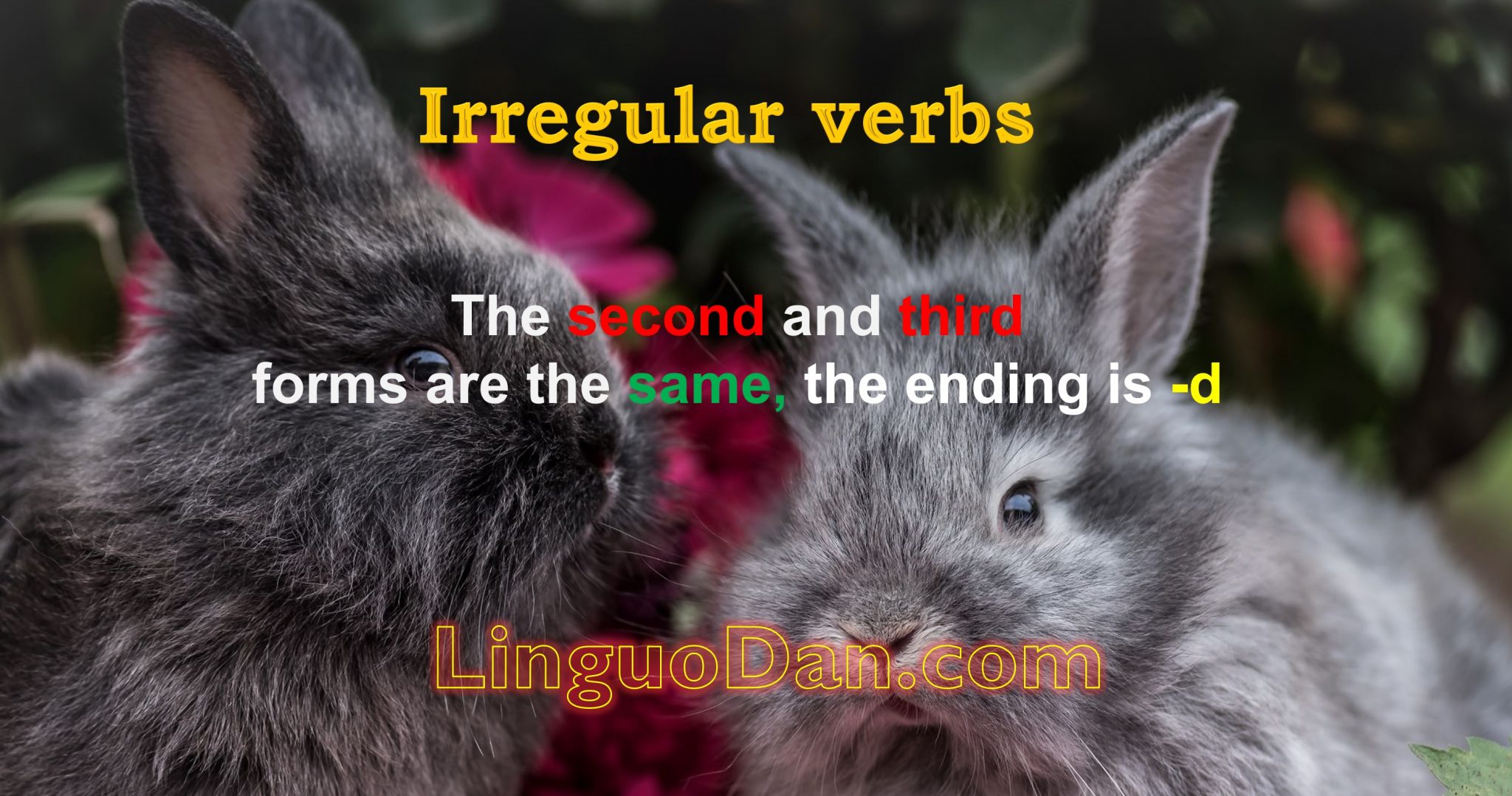 Неправильні дієслова Друга та третя форми однакові із закінчення D Linguodan